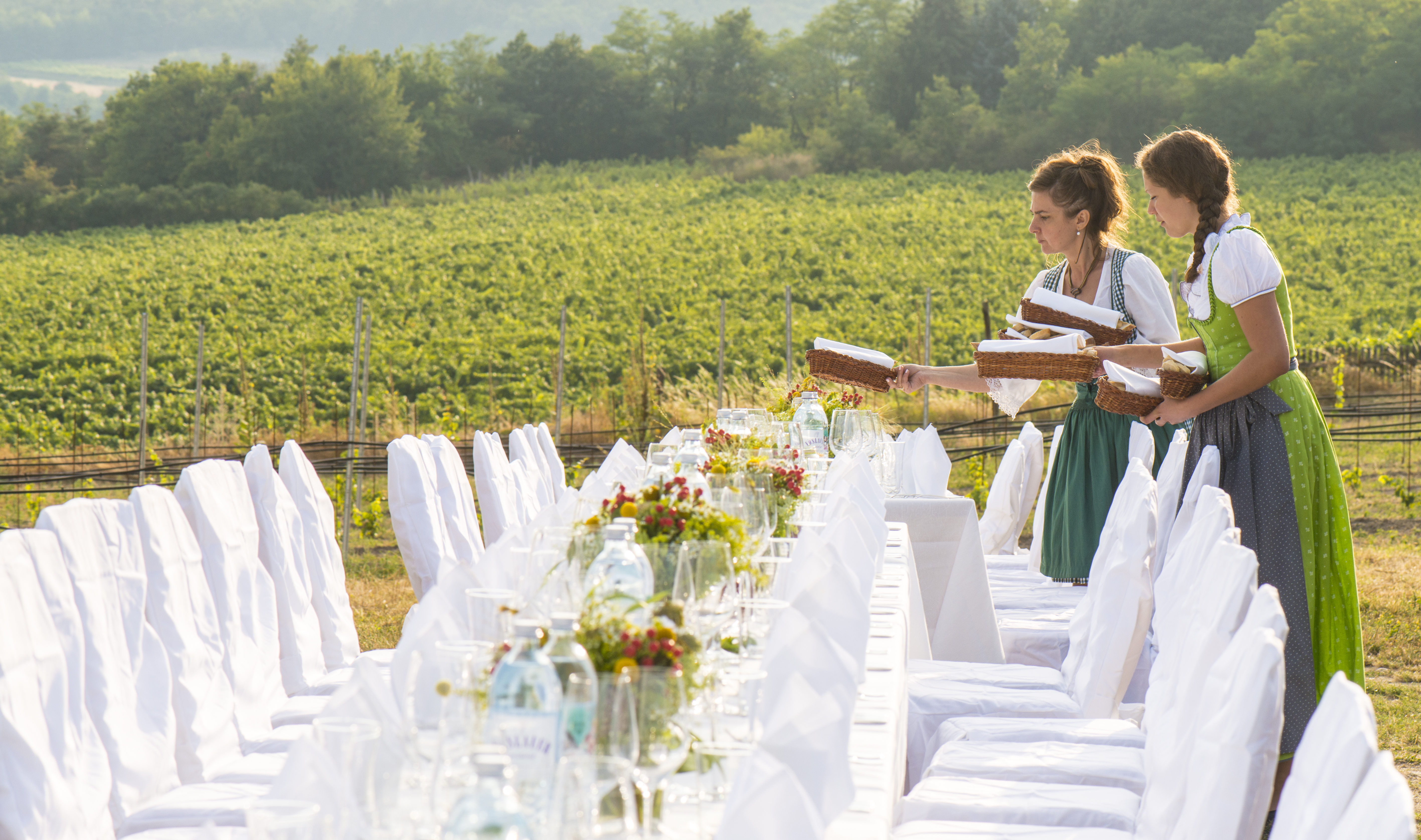 Tafeln im Weinviertel